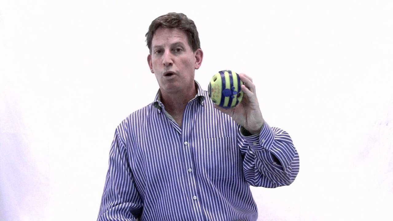The Wiggly Giggly ball -- The fun dog toy that should be in every home ...