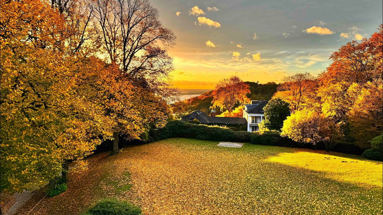 The Hamburg Chronicles - Week 44 - The Integration of Higher Light ...