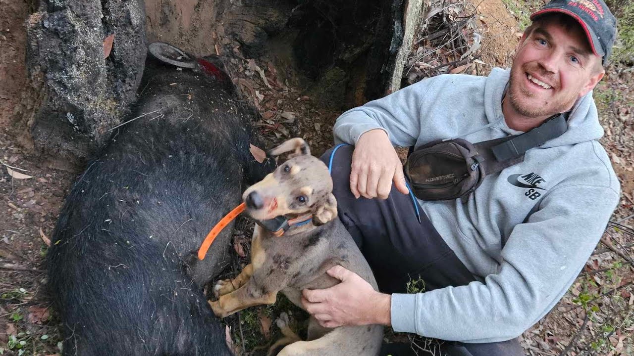West Australia pig hunting and fishing. - YouTube