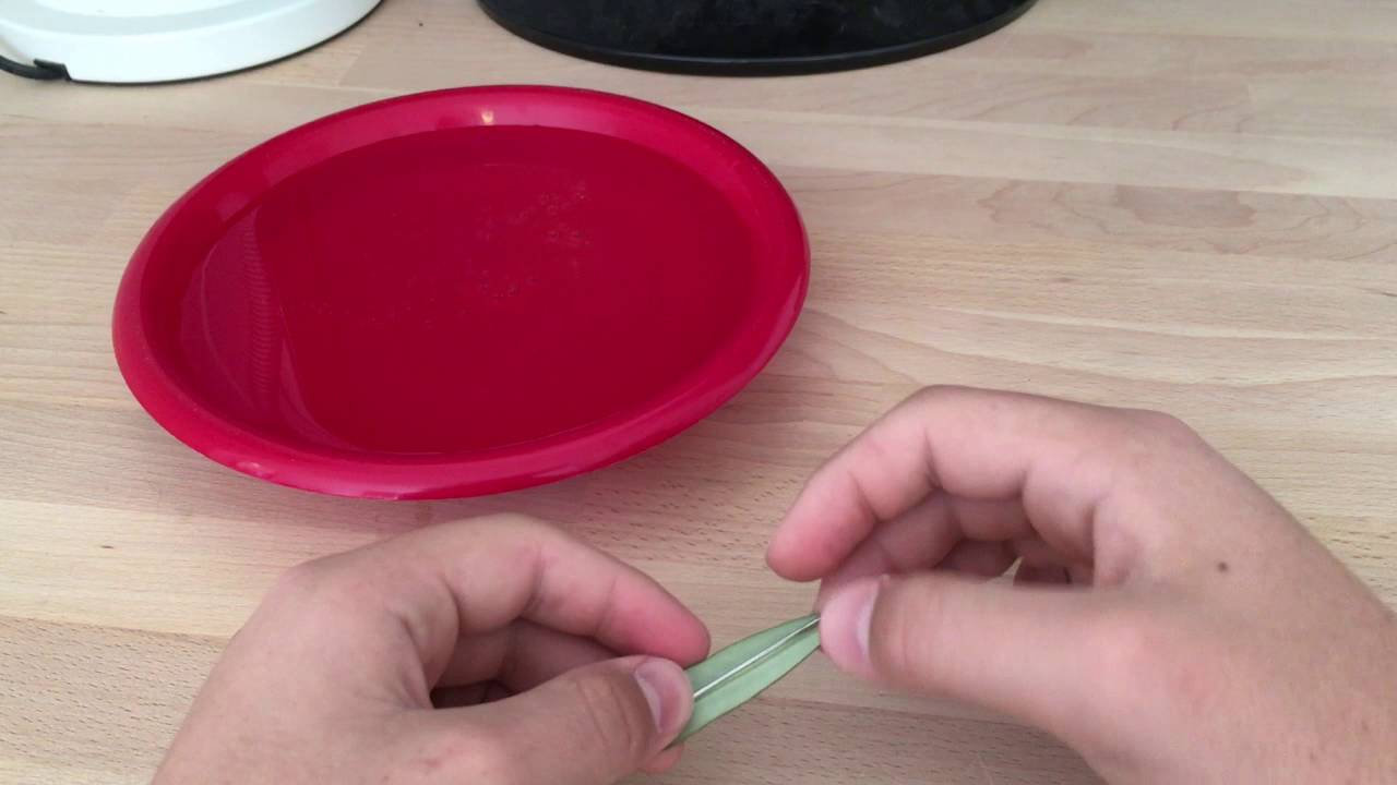 How to make a natural compass - YouTube