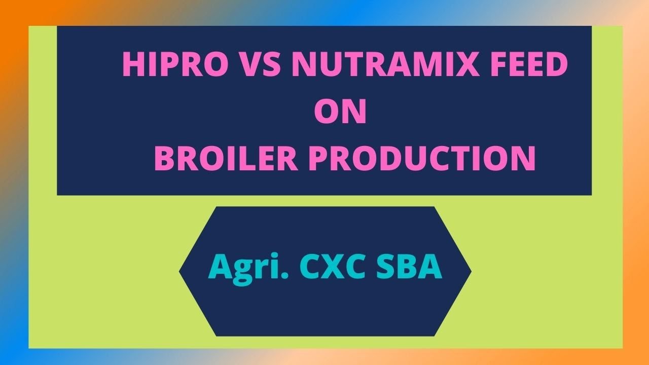 Broiler SBA # 2: Hipro vs Nutramix Feed - YouTube
