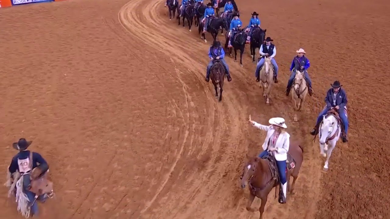 Horses wait in line for "Grand Entry' at Houston Livestock Show and ...