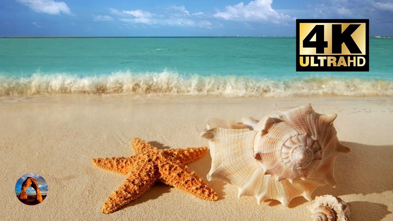 Calming Beach Sounds 🌊 - YouTube