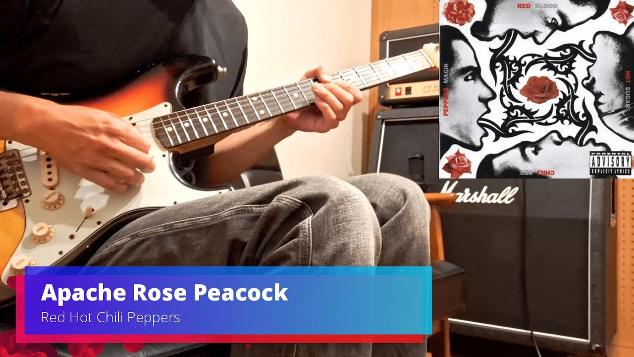 Apache Rose Peacock Red Hot Chili Peppers Guitar Cover - YouTube