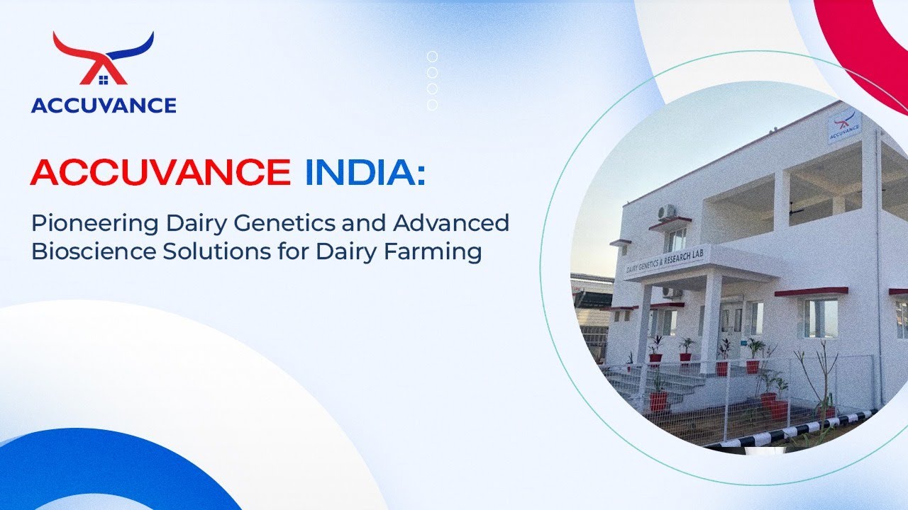 Accuvance India: Pioneering Dairy Genetics and Advanced Bioscience ...