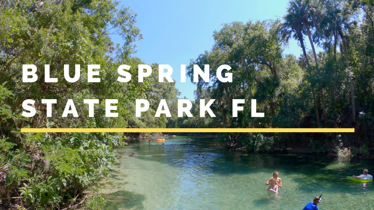 Exploring Blue Spring State Park Florida 🏞️- Florida State Parks - YouTube