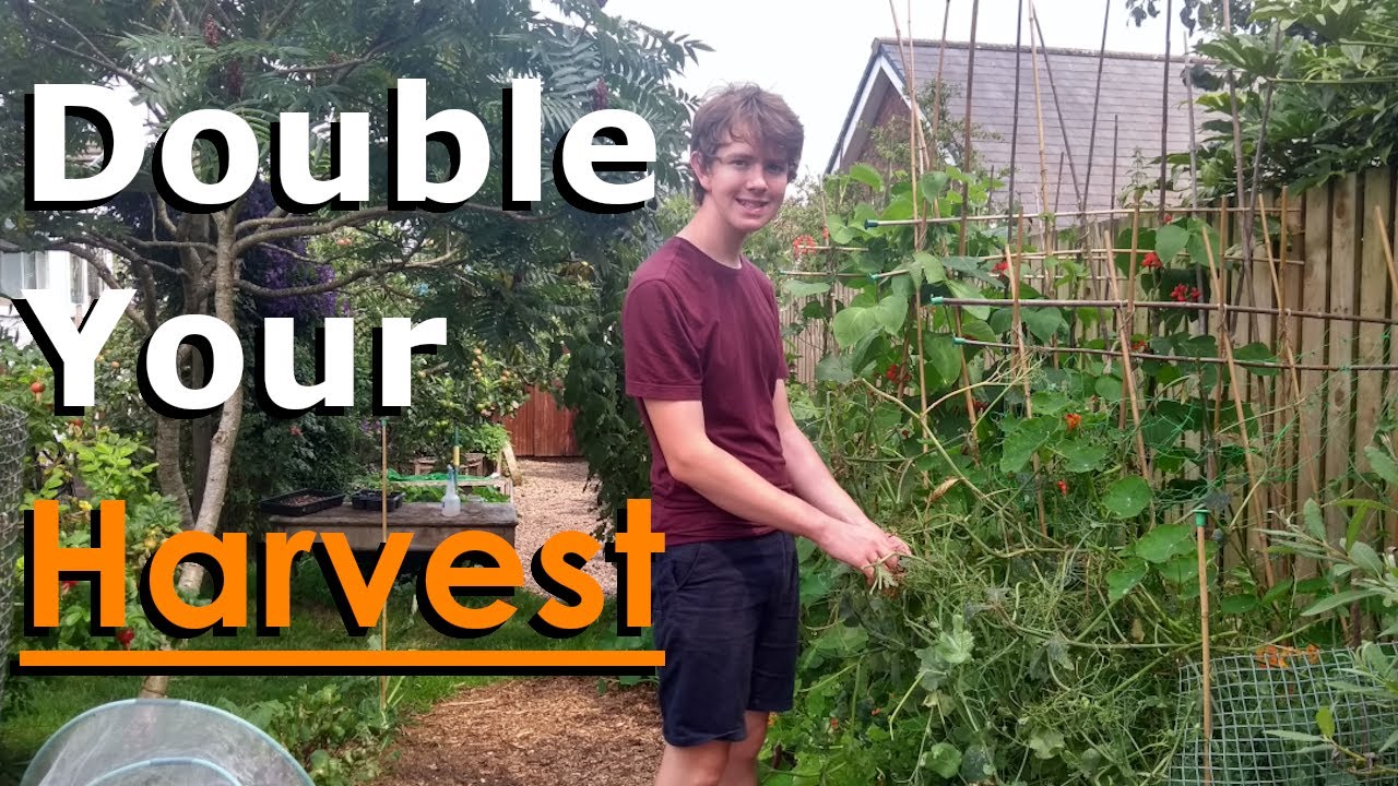 DOUBLE YOUR HARVEST | A Beginner's Guide To Dual-Use Crops - YouTube