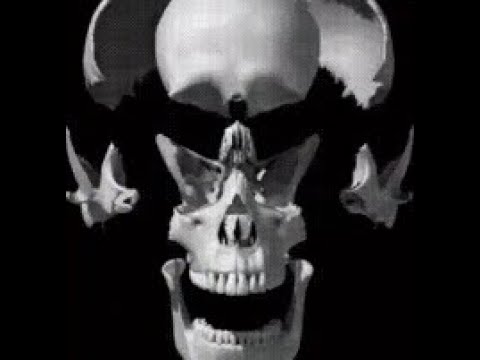 top 10 skeleton moments - YouTube