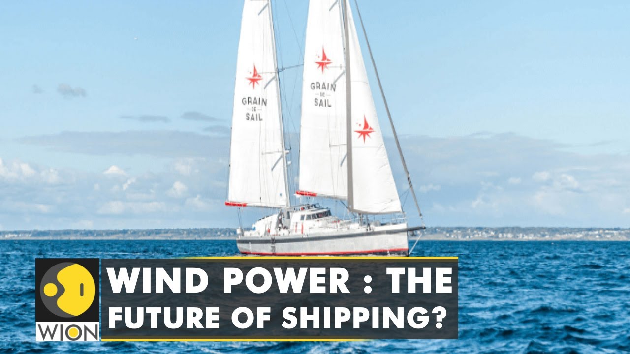 Grain De Sail: Cargo sailboat that runs on wind power | WION Climate ...
