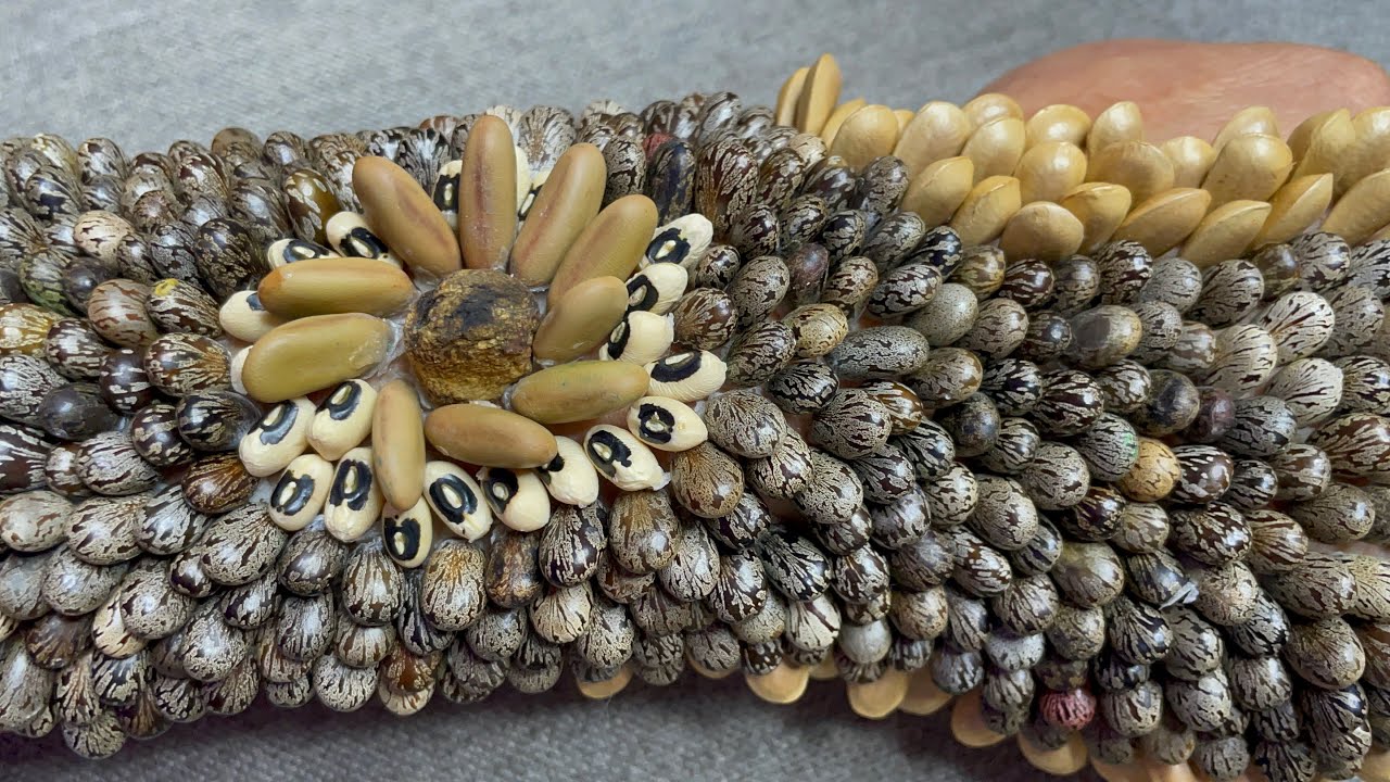 ticks and iron spikes - YouTube