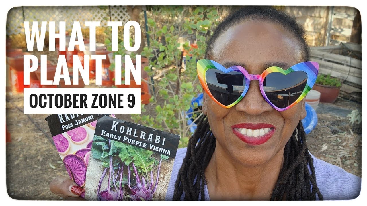 10+ Vegetables To Plant In October for Zone 9 Gardens #fallgarden # ...