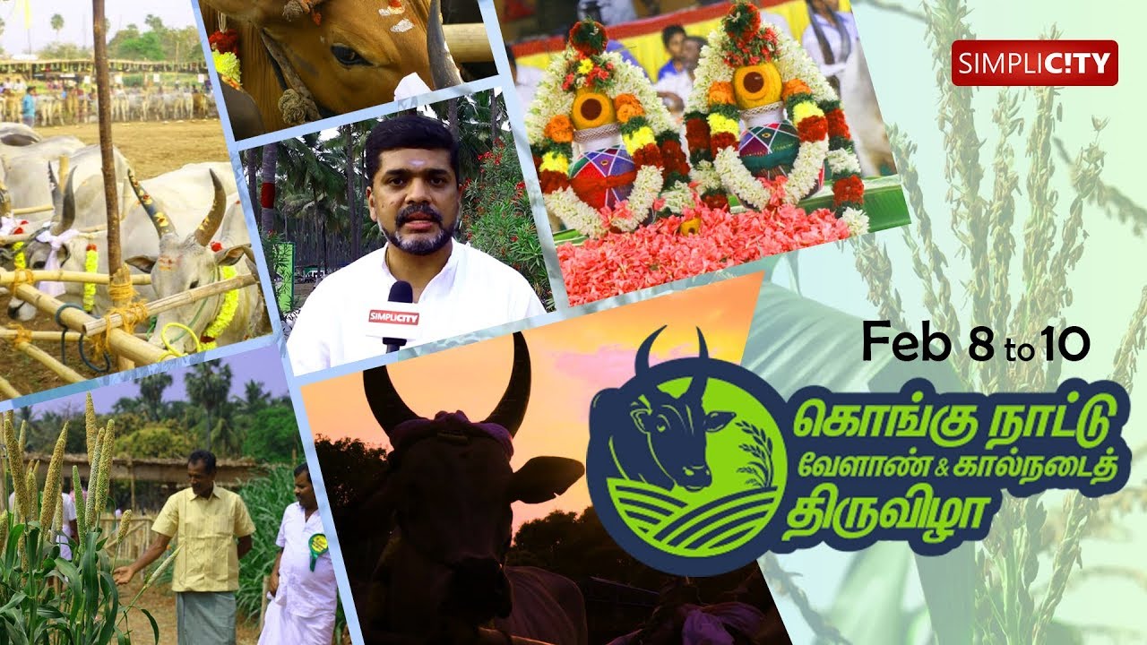 Fifth edition of Kongu Nattu Velan and Kaalnadai Thiruvizha at Samathur ...