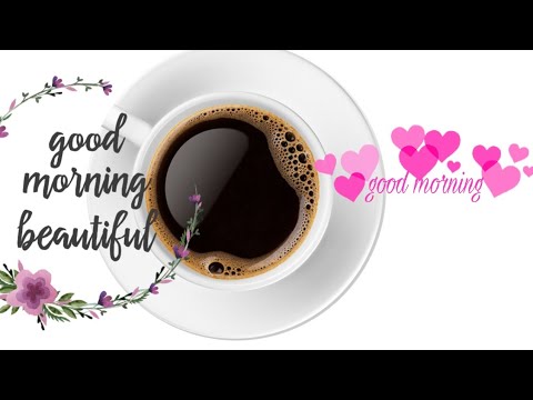 Good Morning Status video |Morning whatsapp Status |Chand Rajpoot - YouTube