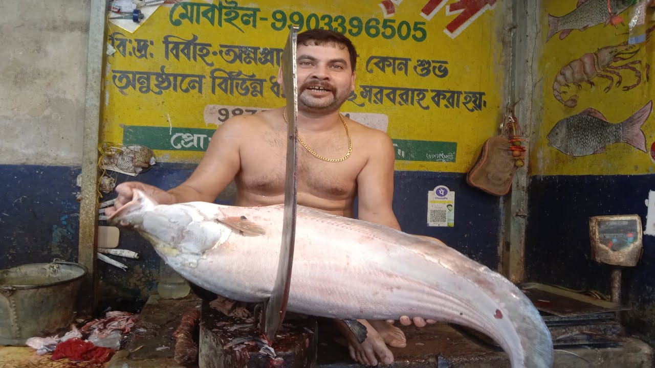 chitol fish cutting |chitol fish cutting skills|chitol fish cutting ...