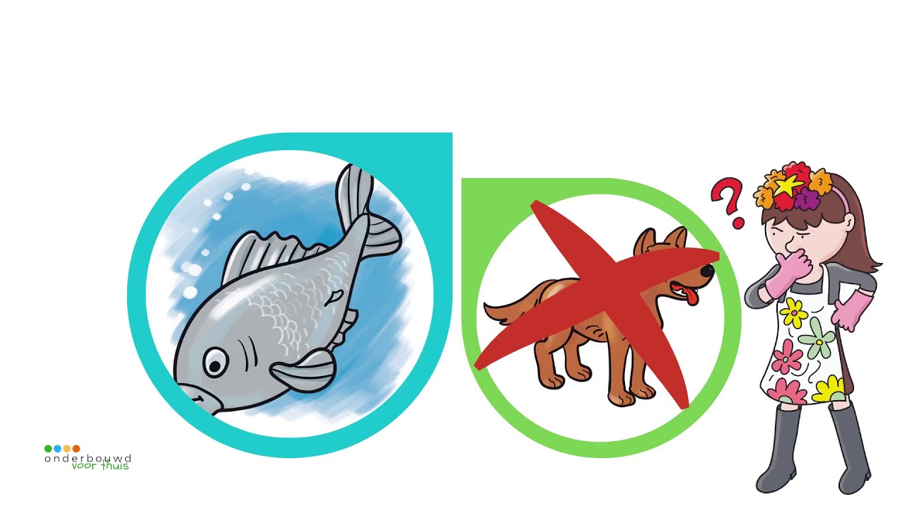 dieren sorteren met tante Truus A/B - YouTube