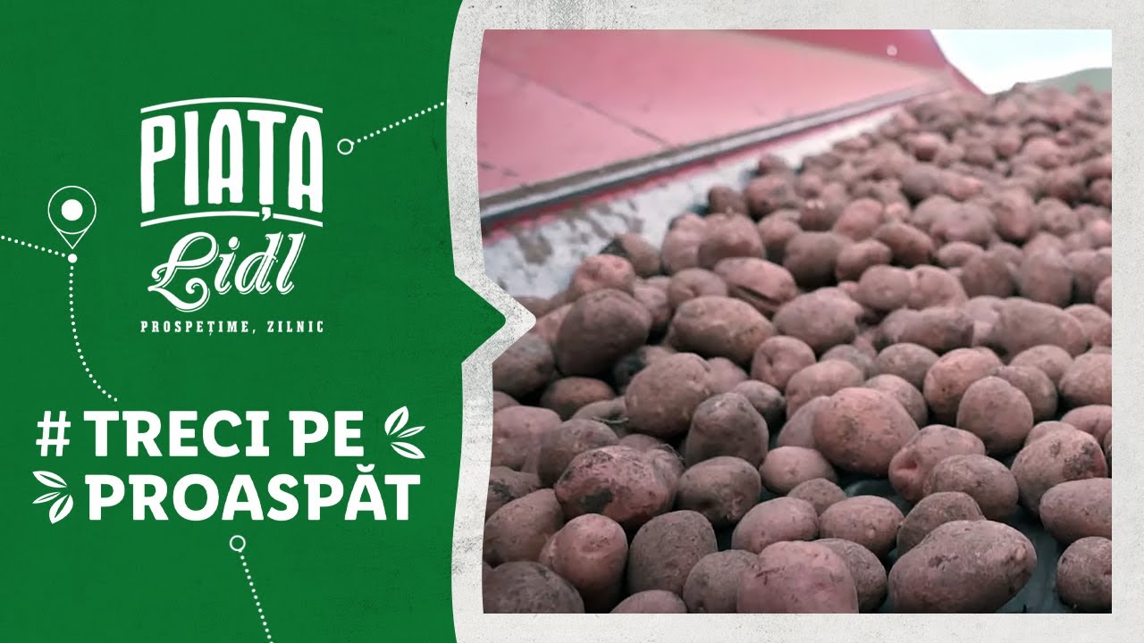 Producatorul Ferma Cernat • Piata Lidl - YouTube