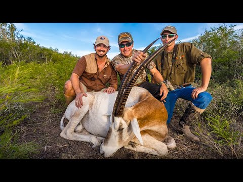 Exotic Oryx Hunting in South Texas | Wide Open Sportsman - YouTube