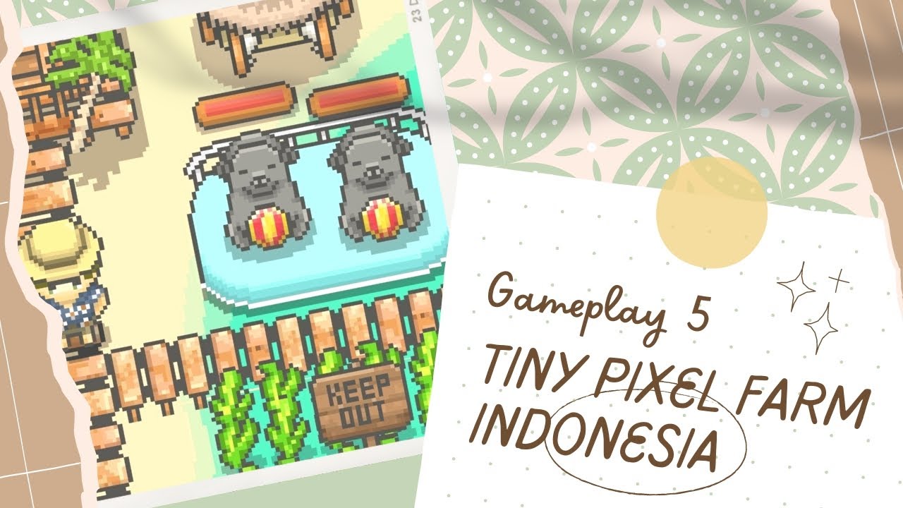 Ternak singa laut guys!? | Tiny pixel farm indonesia part 5 - YouTube