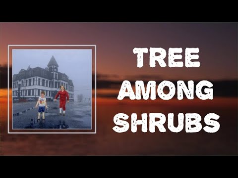 "Tree Among Shrubs" - Men I Trust 🎧Lyrics - YouTube