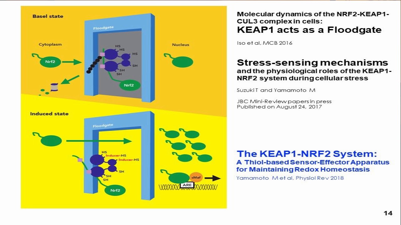 NHRI 2018 Precision Medicine, Technology and Development Symposium ...