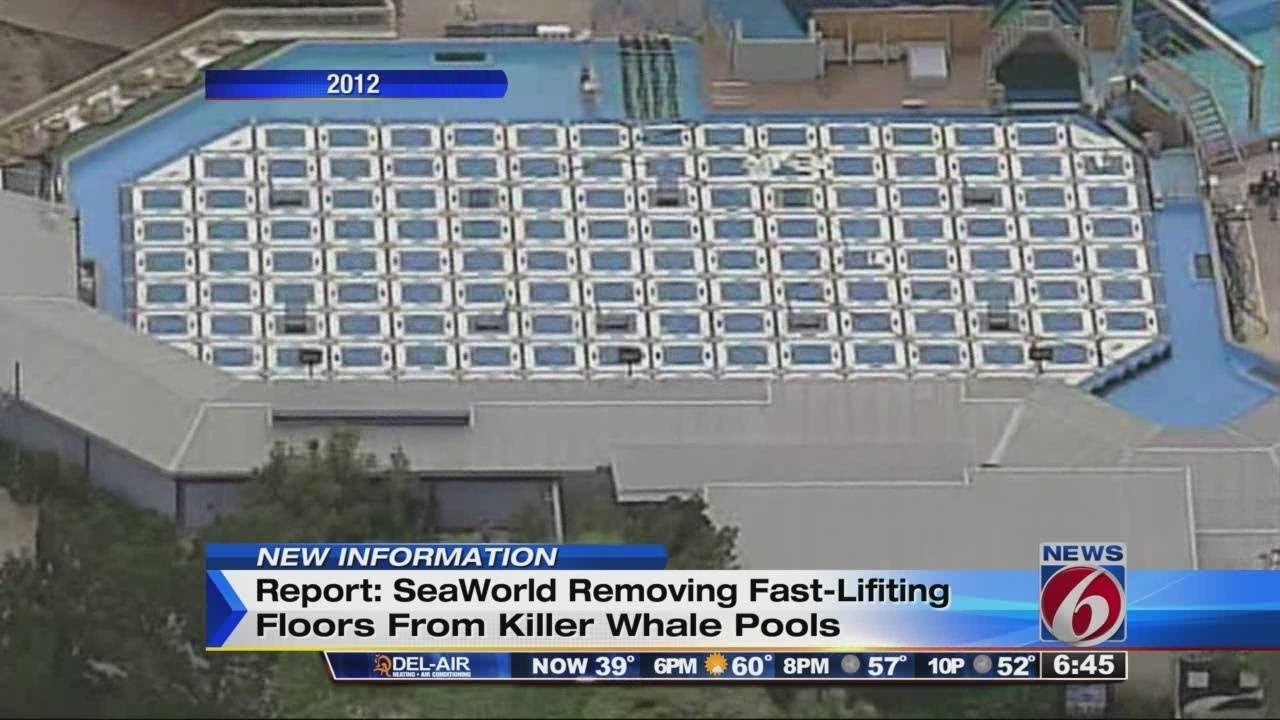 Report: SeaWorld removing fast-lifting floors - YouTube