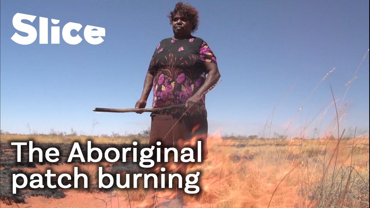 How Aboriginal Australians use fire to help the ecosystem | SLICE - YouTube