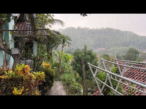 Refreshing Rain at the End of Summer | Natural Freshness from Nature ...