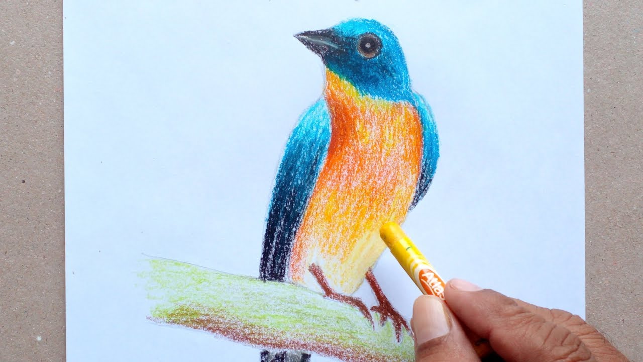 How to paint a bird / Birds drawing step by step / Bird Painting ...
