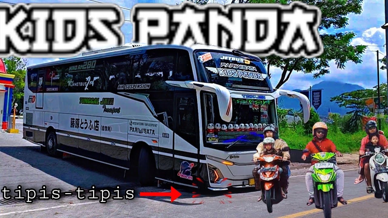 NGOYOD BUS VIRAL KIDS PANDA DI JALAN BERKELAK KELOK PEGUNUNGAN ‼️FULL ...