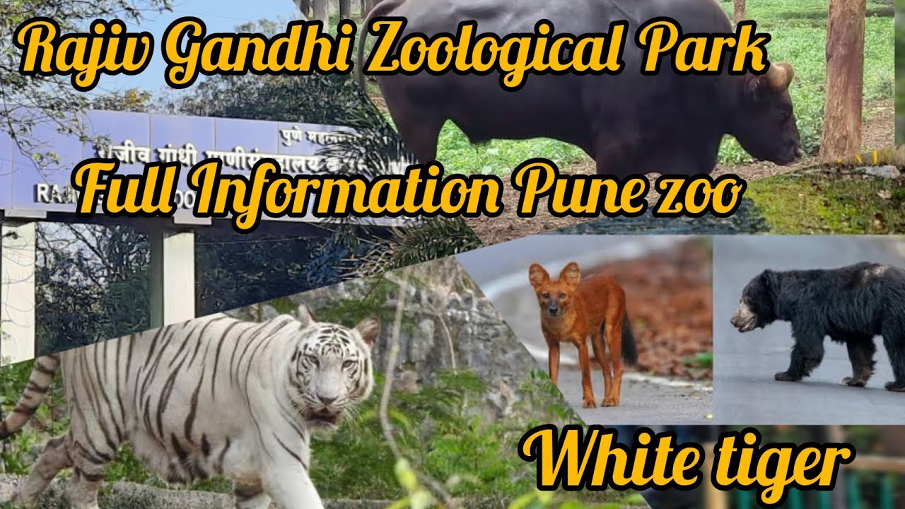 Rajiv Gandhi Zoological Park Pune | Katraj Zoo | Complete Information ...