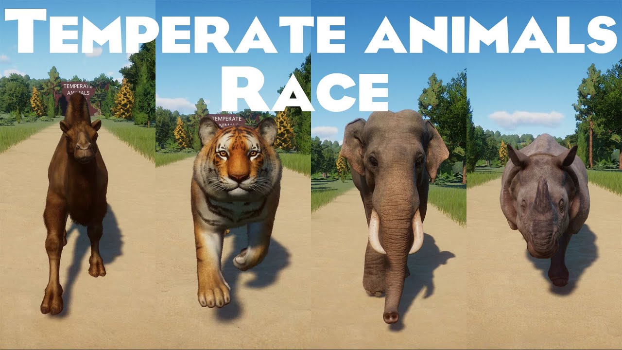 Temperate Animals Speed Races in Planet Zoo included Eurasian Lynx ...
