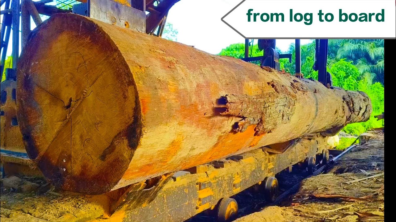 Splitting a Big Log into Two and Making 6” Thick Planks - YouTube