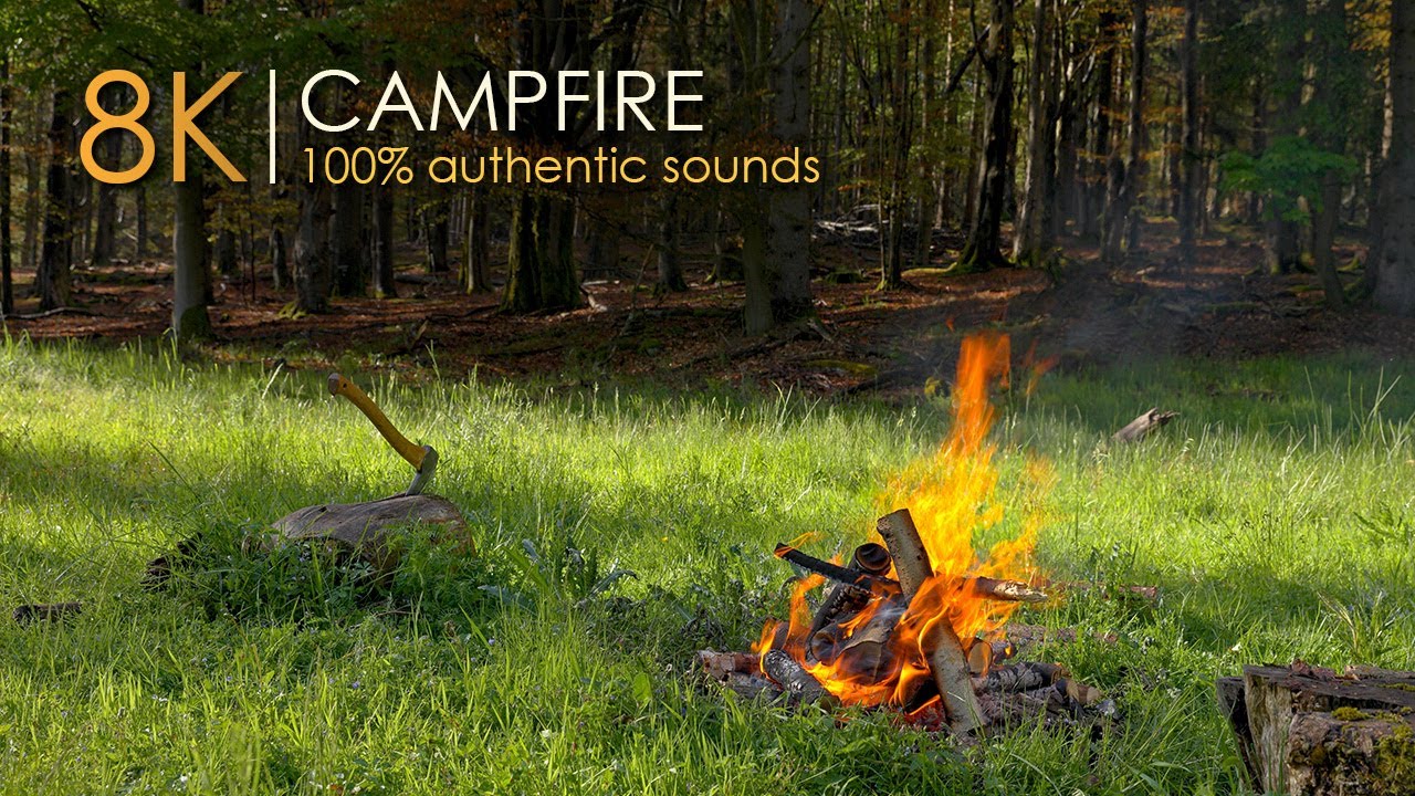 8K Incredibly Realistic Campfire🔥100% Real Nature Sounds🪵Long Loop ...