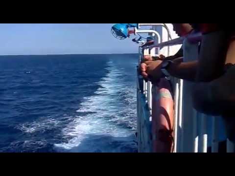 2GO Travel "MV St. Michael The Archangel" - YouTube