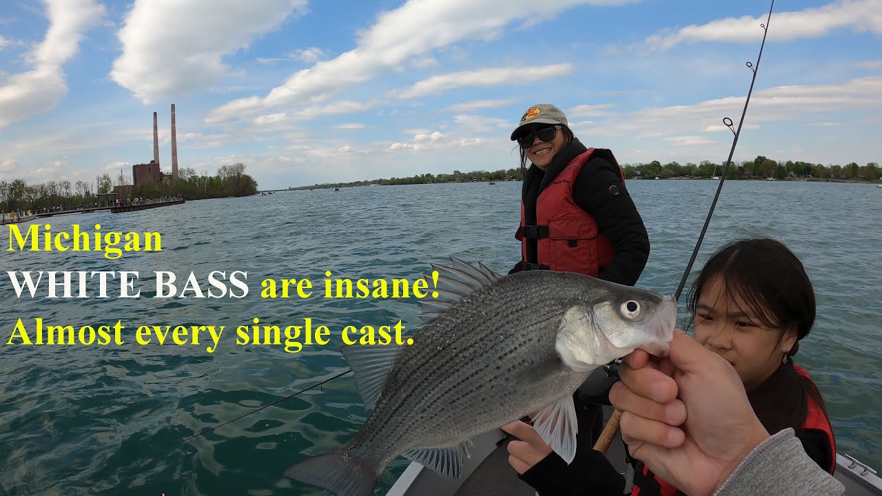 Fishing for White Bass in Michigan - YouTube