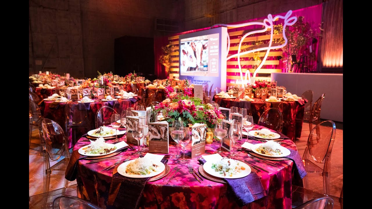Humane Society Gala 2019 - YouTube