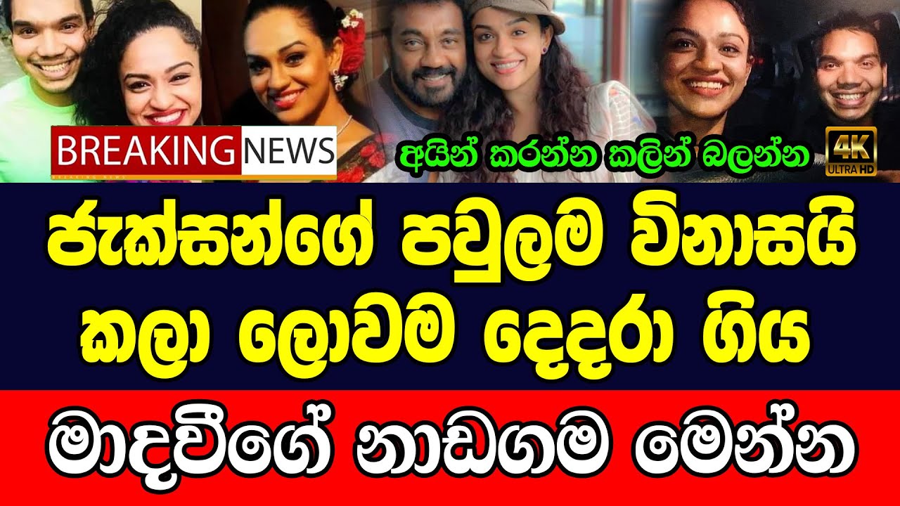 Madhavi anthony | Now Update Here is another special news just received ...