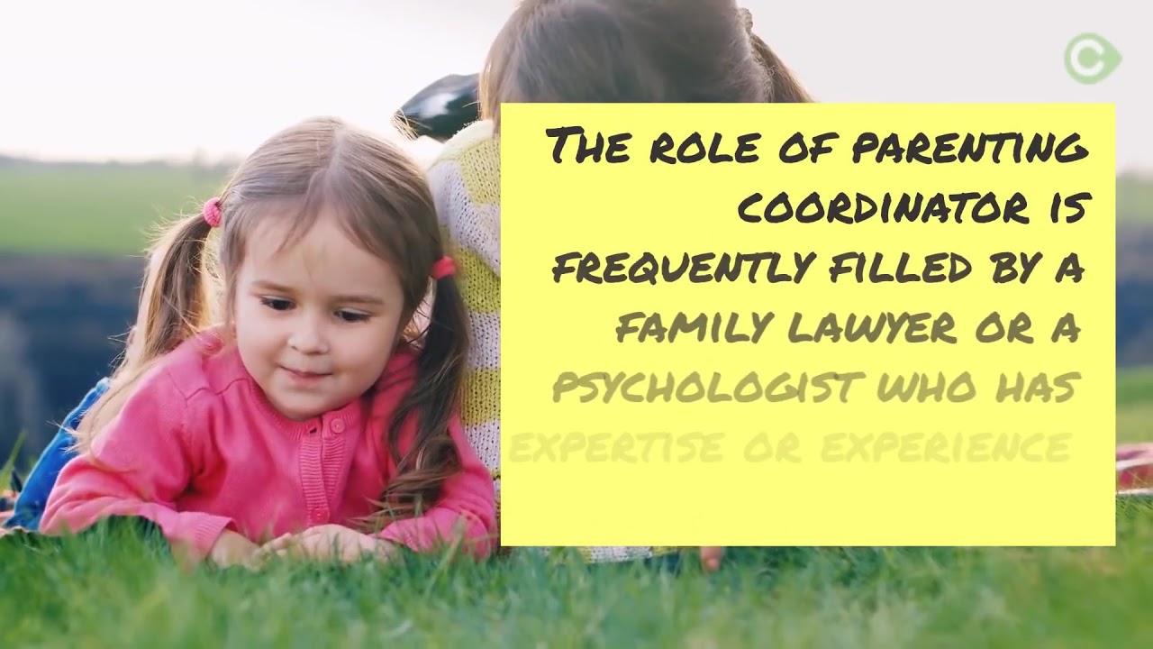 Understanding Parenting Coordination - YouTube
