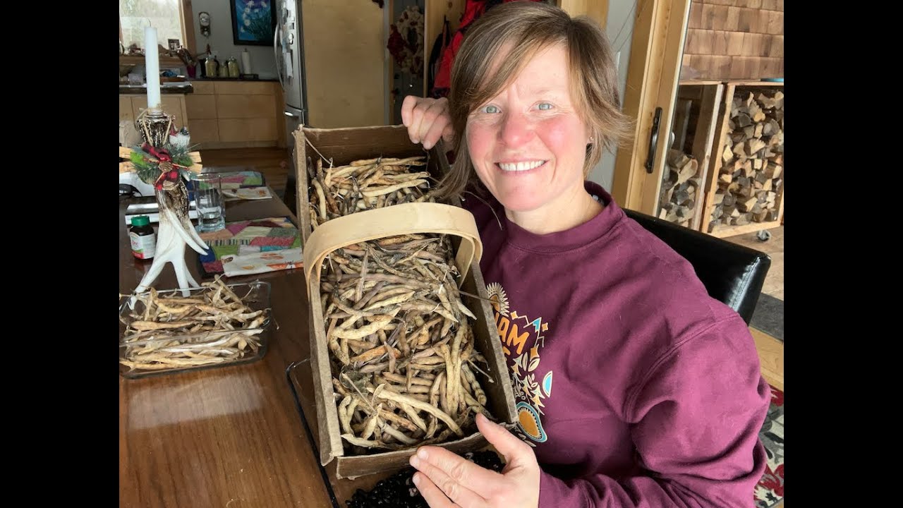 A Year of YouTube | Lessons learned and what's ahead! - YouTube