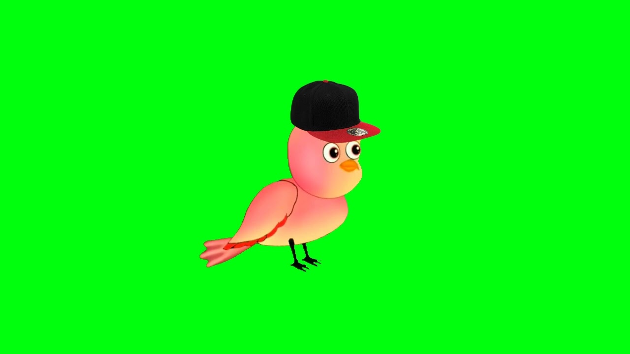 No Copyright tuni chidiya 40 bird cartoon green screen Bird Green ...