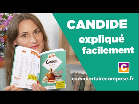 Candide, Voltaire : TOUT ce que tu dois savoir !