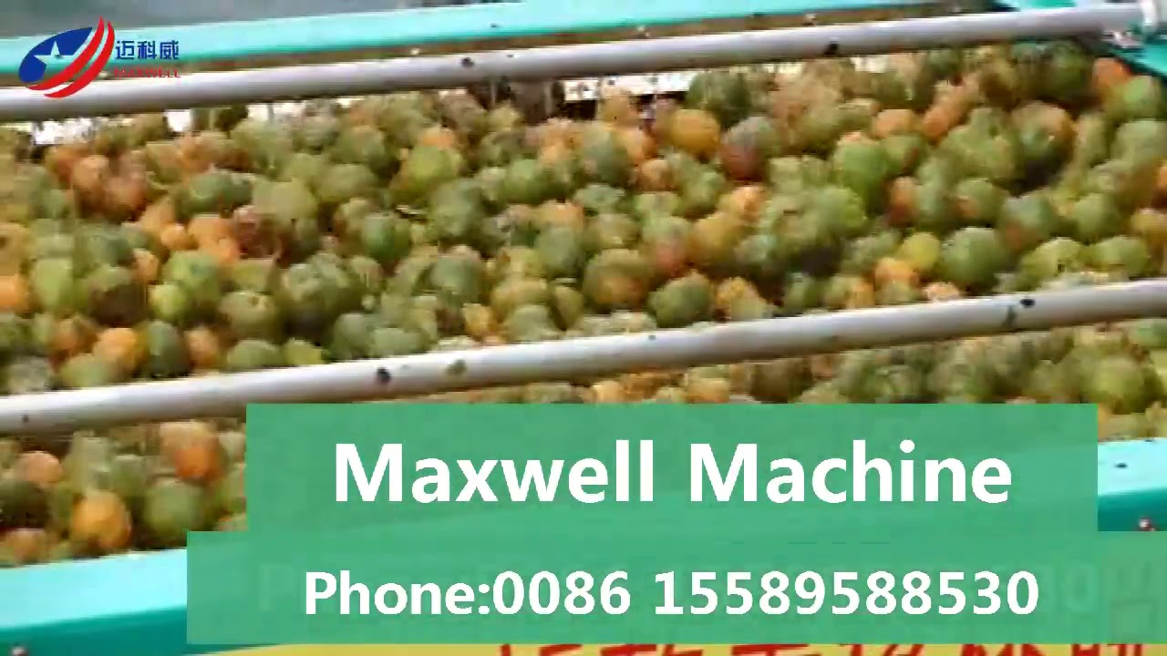 Walnut Peeling and washing machine - YouTube