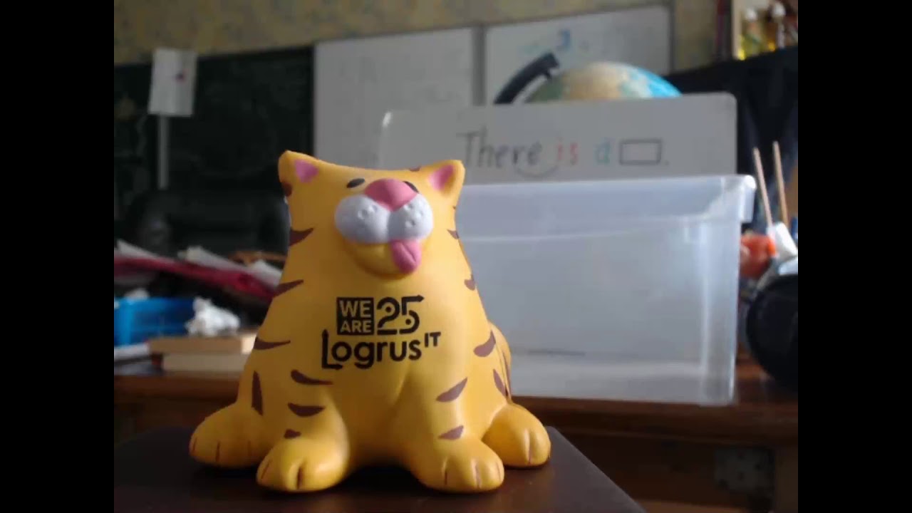 17.There is a cat. - YouTube