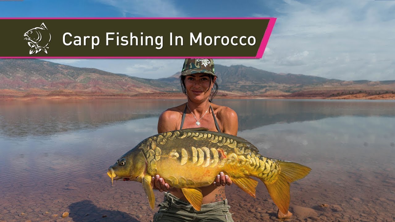 Carp Fishing In Morocco - YouTube
