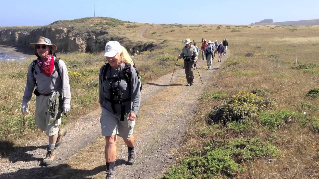 Point Buchon Trail - YouTube