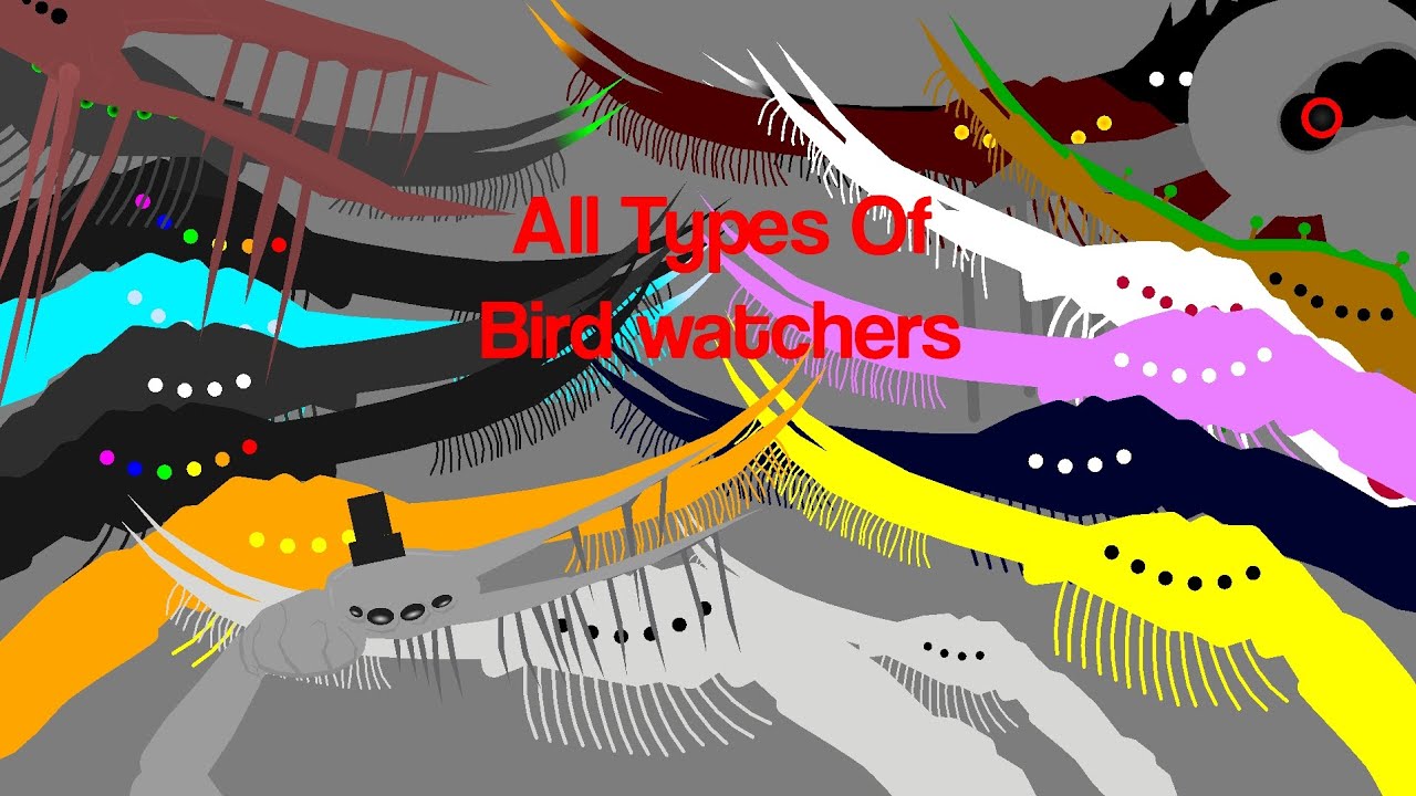 All Kinds/Types Of Bird Watchers|Stick Nodes Animation - YouTube