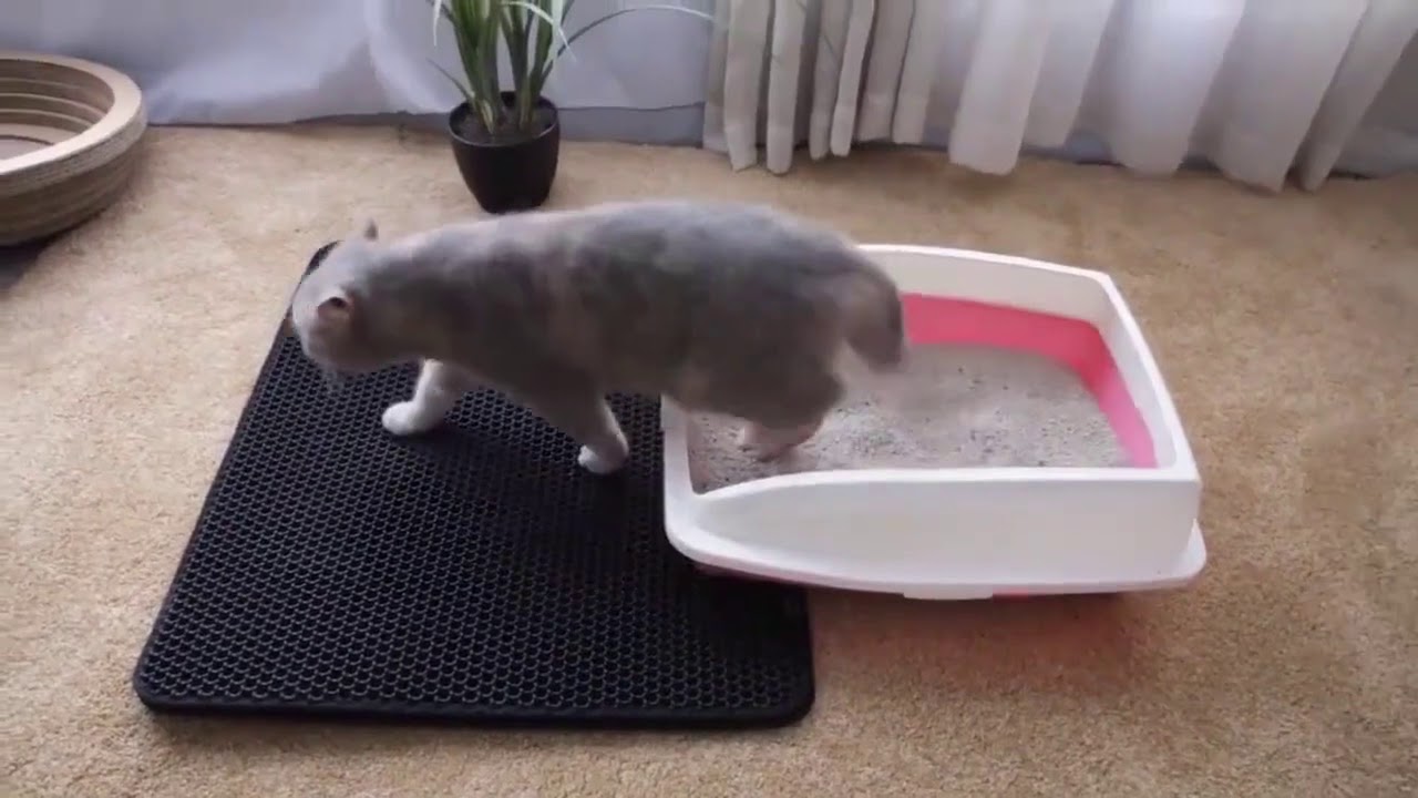 Mat Pet Supplies Carpet Cat Sand Litter Mat Toilet Waterproof Foldable ...