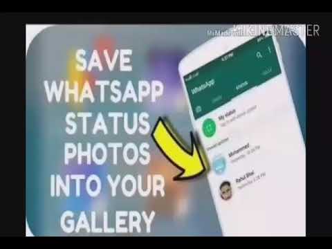 How to download watsapp status video&photo