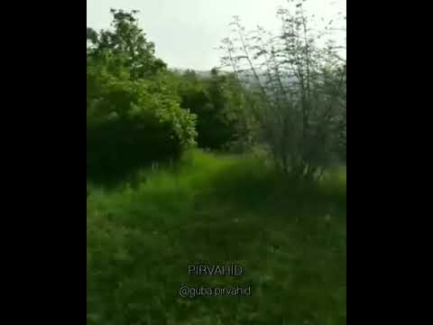 Quba rayonu Pirvahid kəndi (çox gözəl mənzərə)