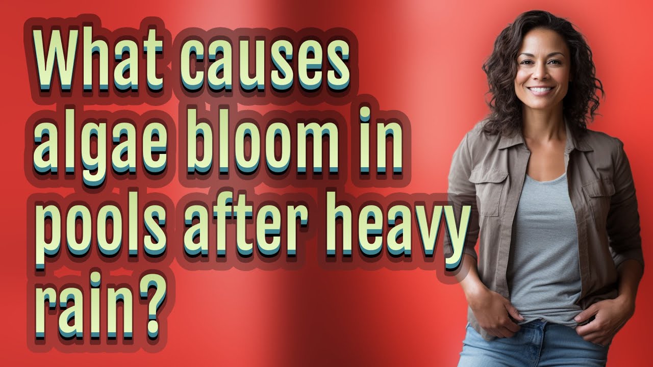 What causes algae bloom in pools after heavy rain? - YouTube